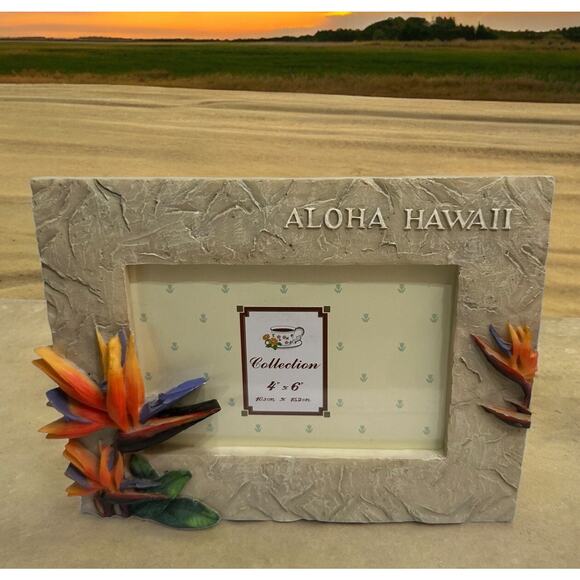 Unbranded | Accents | Aloha Hawaii Picture Frame 4 X 6 Birds Of ...